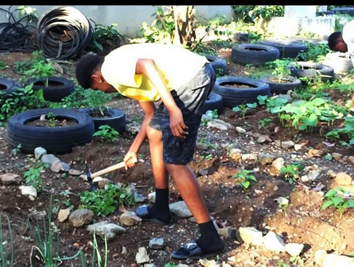 MALE now using farming as a tool