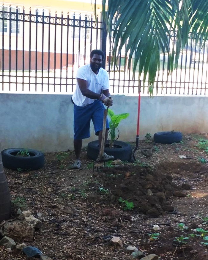 MALE now using farming as a tool