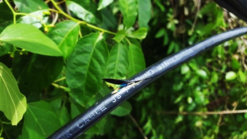 Cable TV laments ‘malicious acts’