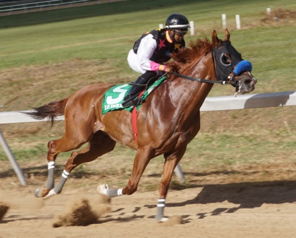 Successful return of horseracing to BVI | USVI overall winners of Box ...