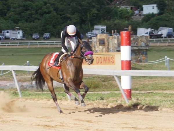 Successful return of horseracing to BVI | USVI overall winners of Box ...