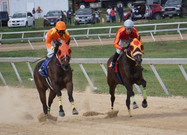 Successful return of horseracing to BVI | USVI overall winners of Box ...