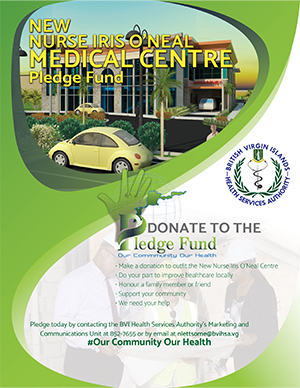 BVIHSA_Pledge_car_300