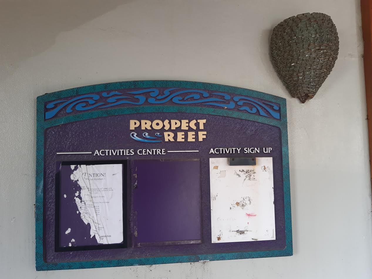 Over 14 months without wages has been ‘tough’, says Prospect Reef ...