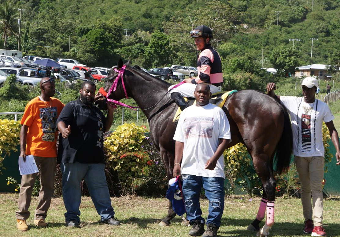 Tortola’s COURAGE & HONOUR wins feature horse race on Sunday