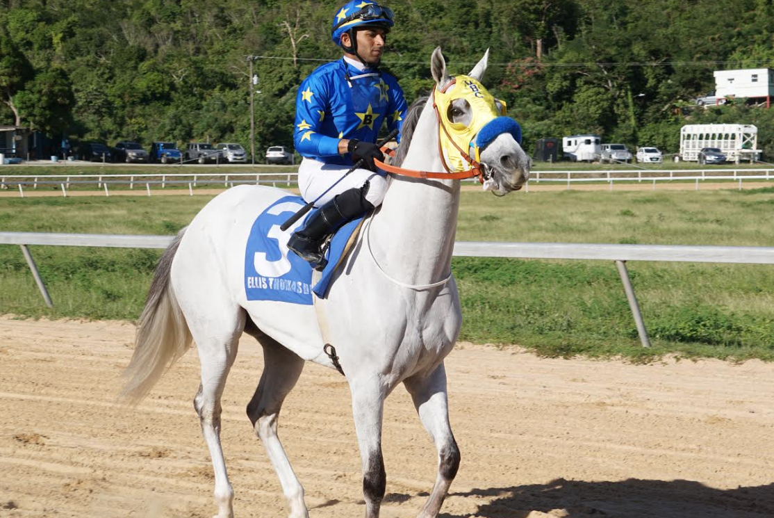 Tortola’s COURAGE & HONOUR wins feature horse race on Sunday