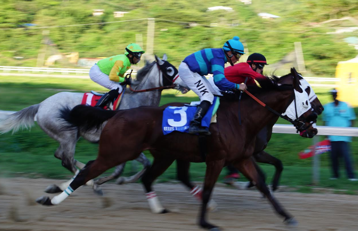 Tortola’s COURAGE & HONOUR wins feature horse race on Sunday