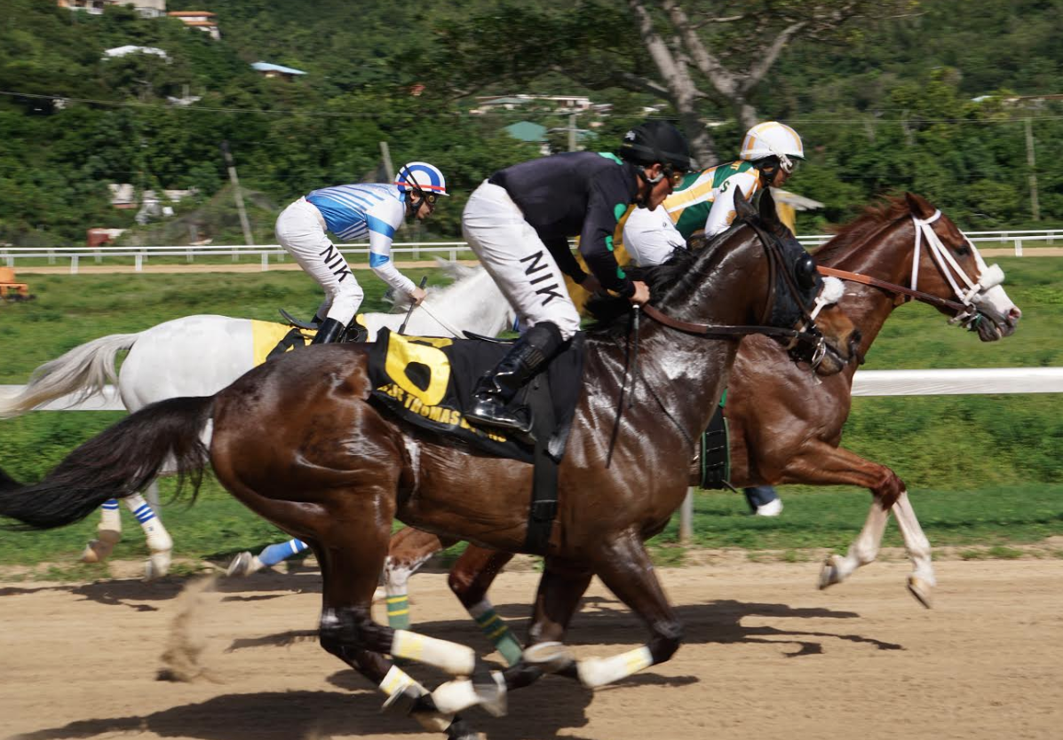 Tortola’s COURAGE & HONOUR wins feature horse race on Sunday