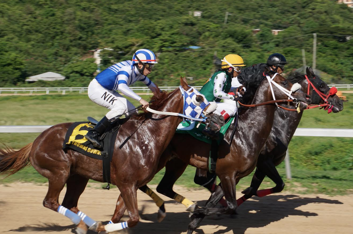 Tortola’s COURAGE & HONOUR wins feature horse race on Sunday