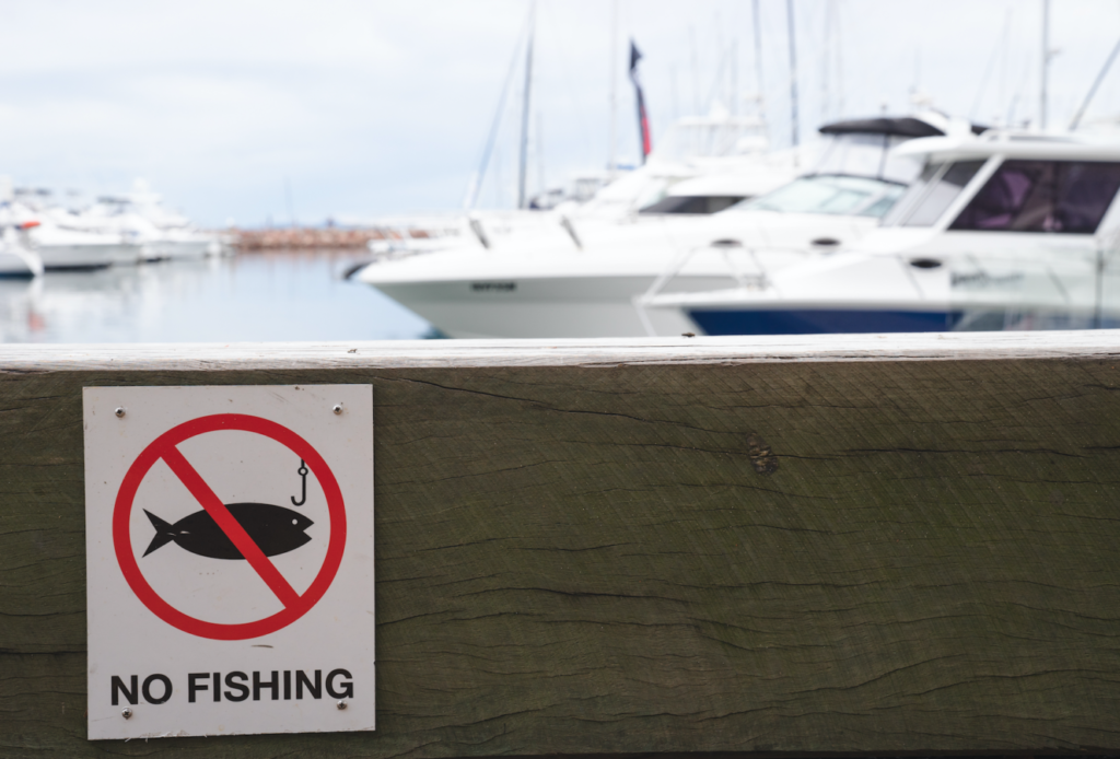 Closed season | Illegal to harvest certain fish species now, public told